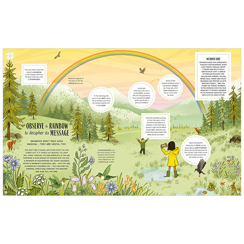 【现货】The Secret Signs of Nature，大自然的神秘信号英文儿童绘本动物/生态/环保图书童书精装_虎窝淘