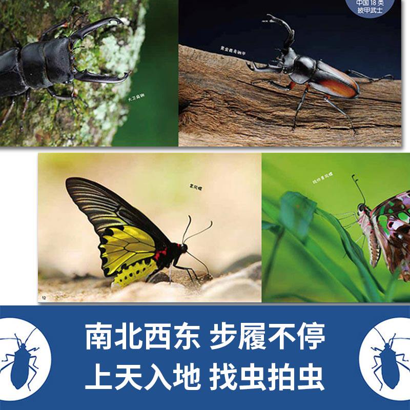 【全5册】博物大发现我的1000位昆虫朋友 1200余幅可爱大片JST5位昆虫大神带你探访中国昆虫的5大家族磨铁图书正版酷虫学校同类书_虎窝淘