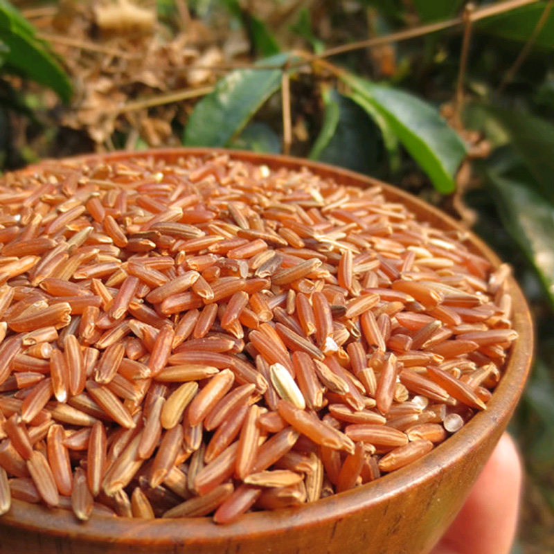 红米新米农家红糙米饭5斤红大米粳米杂粮食血稻胚芽红香米_虎窝淘