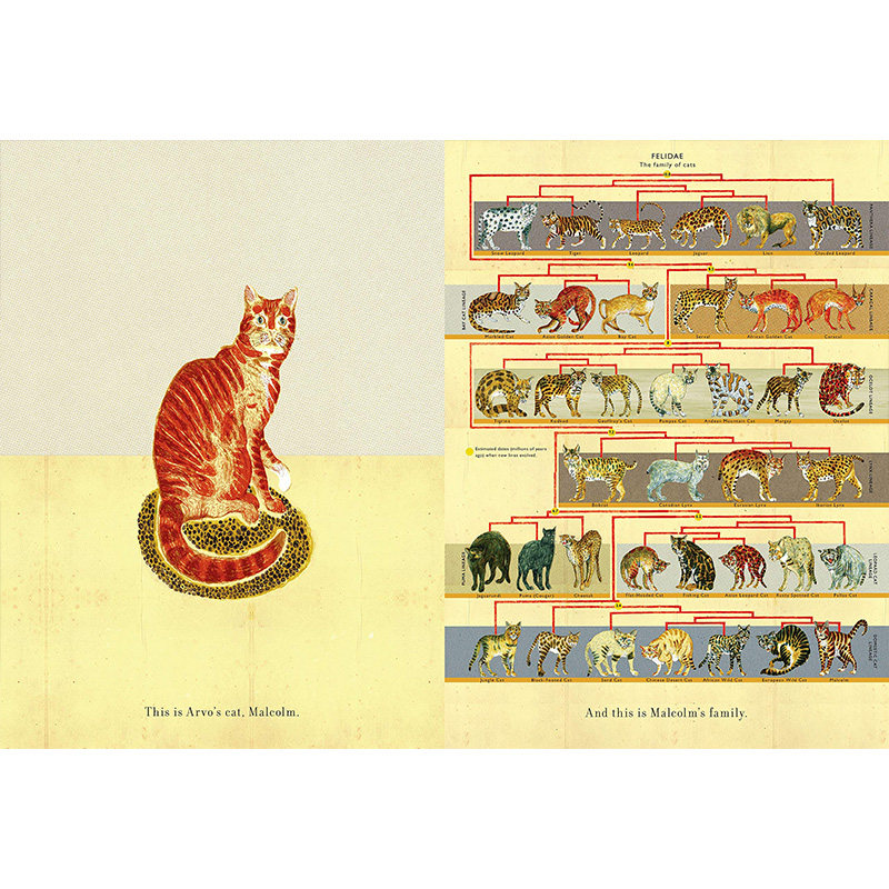 【预售】One of a Kind: A Story About Sorting and Classifying (Walker Studio ...