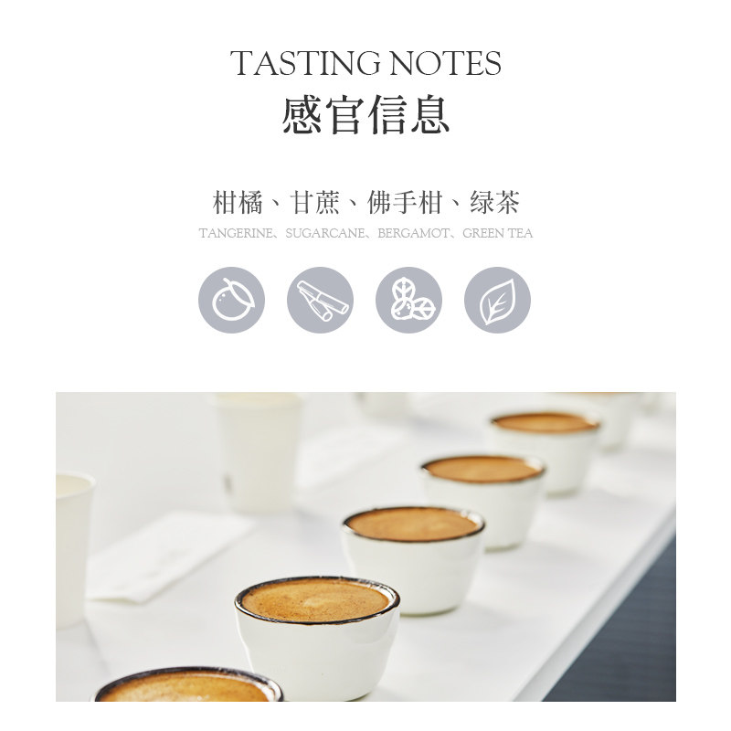 GoToCoffee埃塞俄比亚耶加雪菲水洗果丁丁手冲精品咖啡豆冷萃125g_虎窝淘