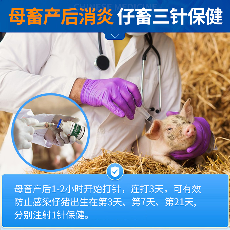 中龙神力头孢噻呋钠注射兽用猪用母牛羊感冒肠炎鱼腥草注射液兽药 虎窝淘