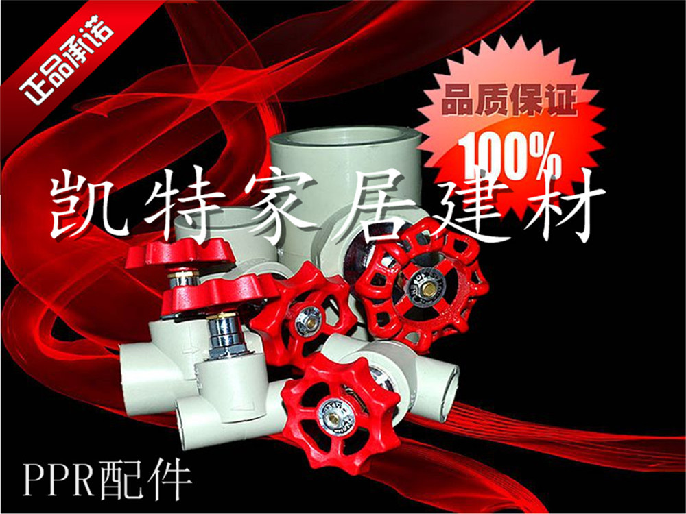 PPR截止阀开关20 4分25 6分32 1寸 40 50 63 75 90 110 160阀门_虎窝淘