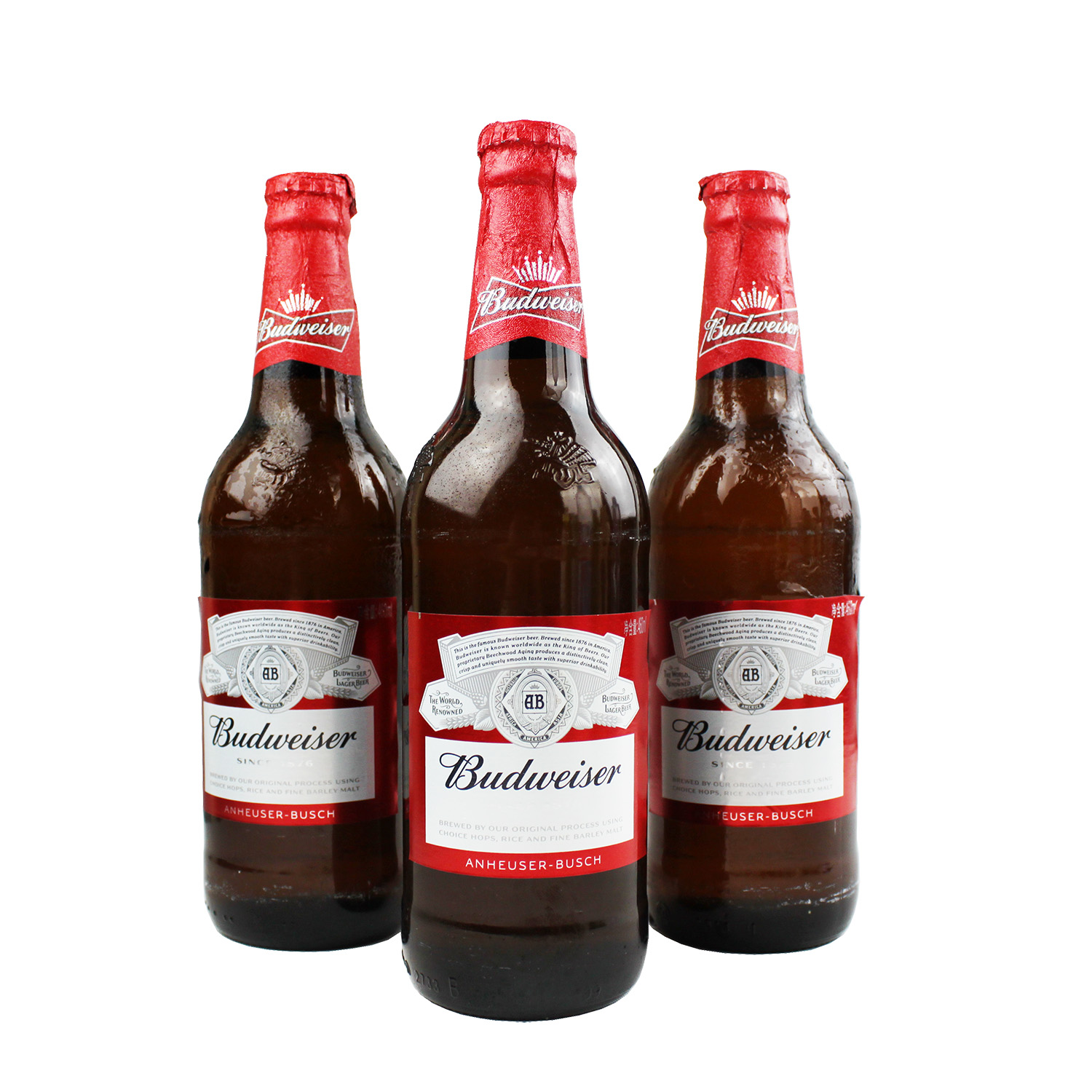 原装进口百威啤酒50选什么牌子好 同款好推荐