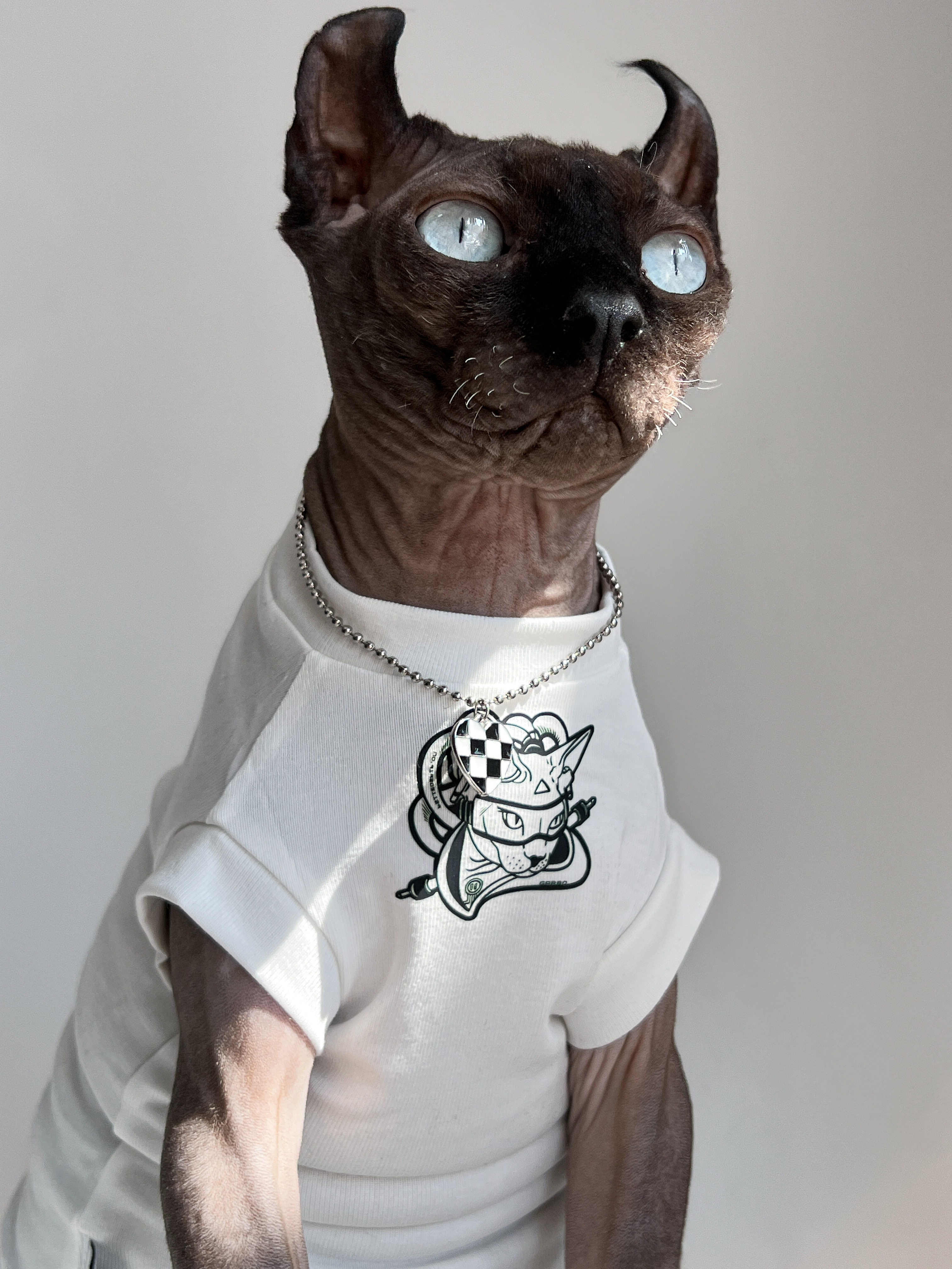 SPHYNX PLANET无毛猫衣服德文猫斯芬克斯设计师纯棉夏季空调无袖_虎窝淘