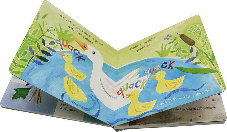 英文原版绘本 Hello World Birds纸板书你好科学小世界幼儿科普百科幼儿STEM启蒙图画书_虎窝淘