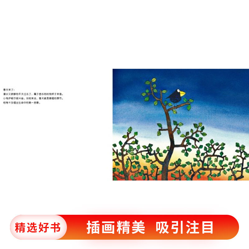 不会唱歌的小鸟硬壳精装图画书启发绘本3岁4岁5岁6岁亲子共读鼓励小朋友勇敢做自己要有自信梦想需要鼓励与支持正版童书_虎窝淘