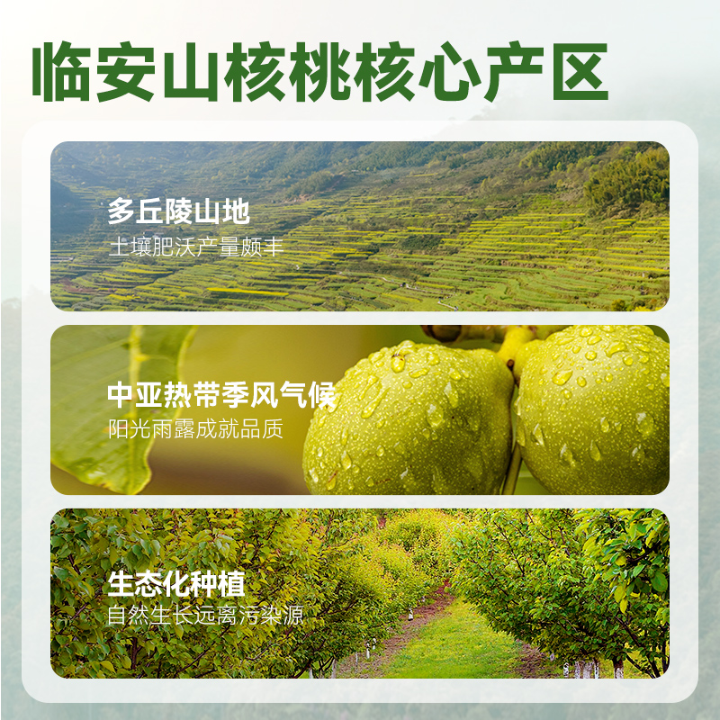 沃隆临安小山核桃仁258g新货罐装坚果休闲零食官方旗舰店_虎窝淘