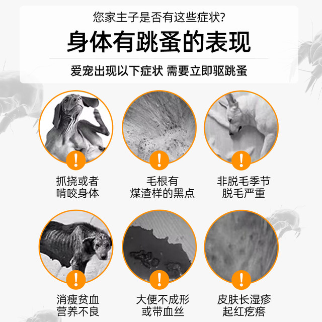 Dog anthelmintic drug in vitro to remove fleas and ticks, special pet ...