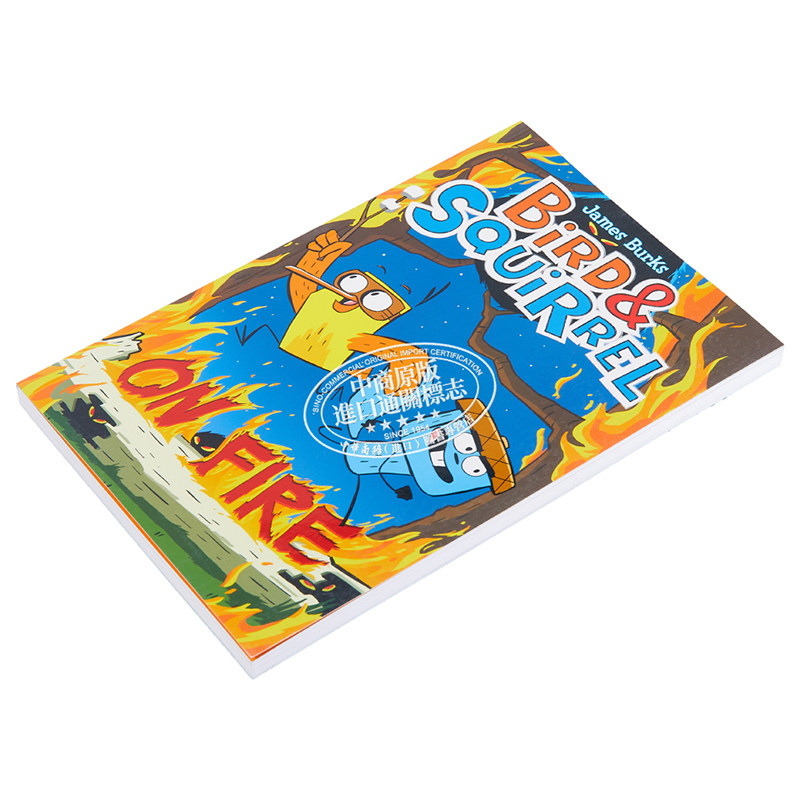 英文原版进口Bird& Squirrel On Fire学乐小鸟和松鼠4儿童课外阅读图画故事章节书全彩漫画小说图像小说7-10岁大音_虎窝淘