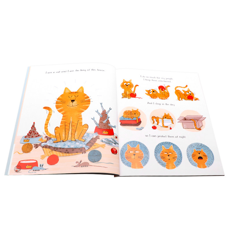 国王猫英文原版绘本 The King Cat儿童友谊情商培养绘本艺术培养图画故事书亲子睡前阅读读物水石图画书奖作者Marta Altes_虎窝淘