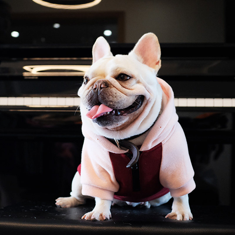 法斗衣服狗狗春秋装斗牛犬可爱法牛巴哥泰迪宠物春季小中型犬秋冬_虎窝淘