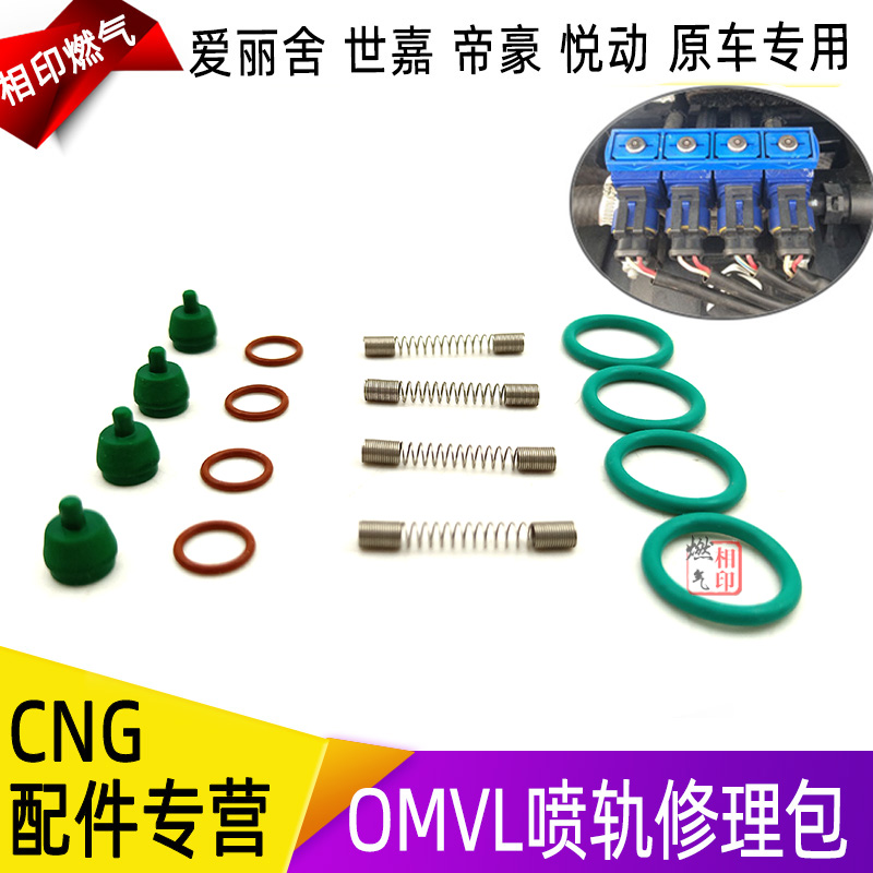 CNG喷轨修理包NT401双燃料车爱丽舍新悦动OVML喷轨修理包_虎窝淘