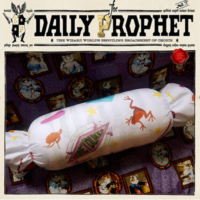 Harry Potter Homemade Peripherals Honey Duke Chocolate Frog Candy ...