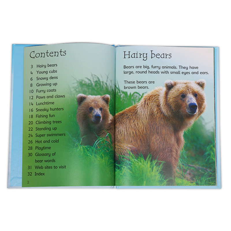 usborne原版英文Beginners Bears初学者科普-熊尤斯伯恩图书儿童英语常识启蒙绘本读物 4+_虎窝淘