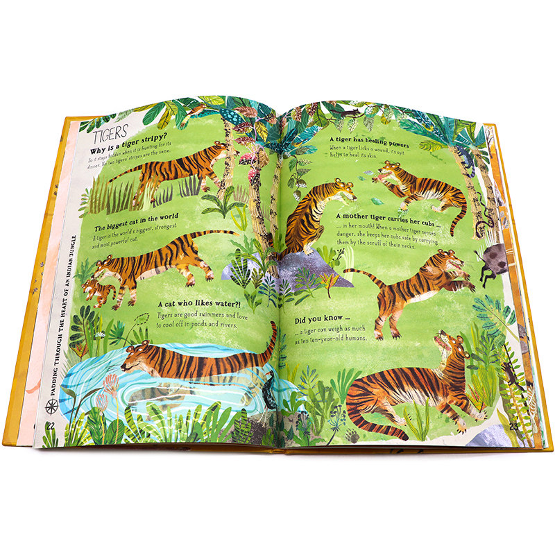 进口英文原版正版自然科普艺术野兽大书The Big Book of Beasts儿童动物科普读物英语启蒙百花大绘本精装大开本精美插图_虎窝淘