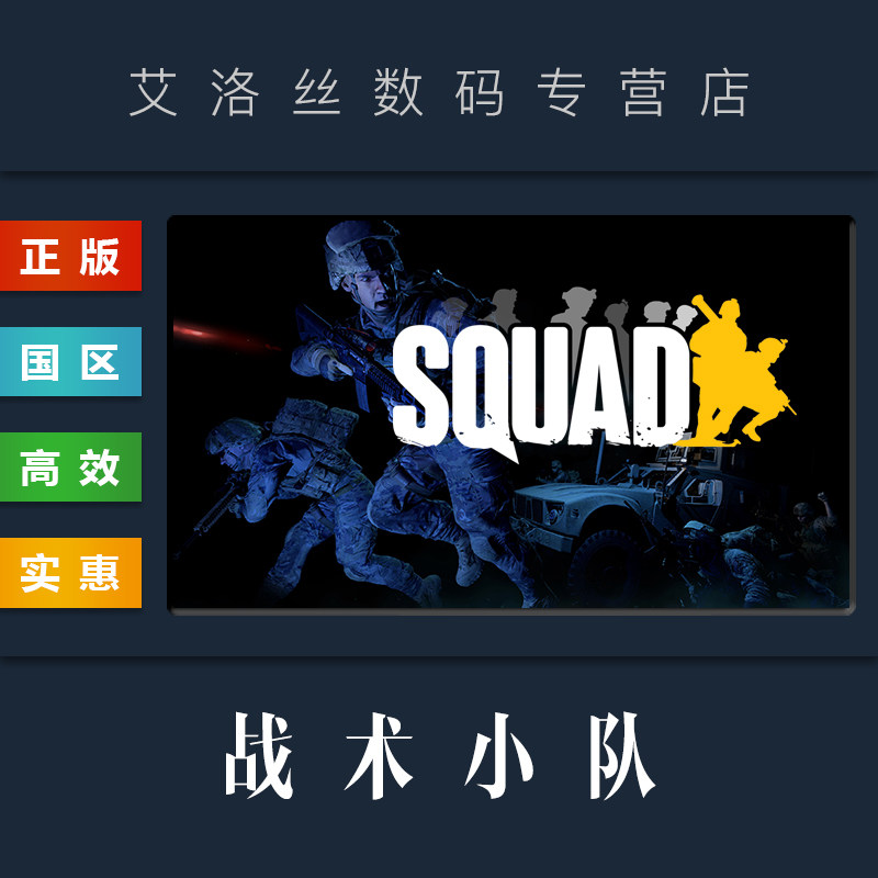 PC中文正版 steam平台国区联机游戏战术小队 Squad行动小组全新成品账号全DLC_虎窝淘