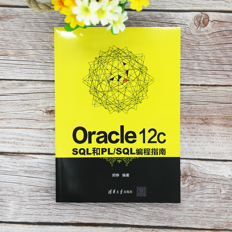 Oracle 12c SQL和PL/SQL编程指南郑铮清华大学出版社 Oracle关系数据库系统指南高等院校计算机相关专业的辅助教材图书籍_虎窝淘