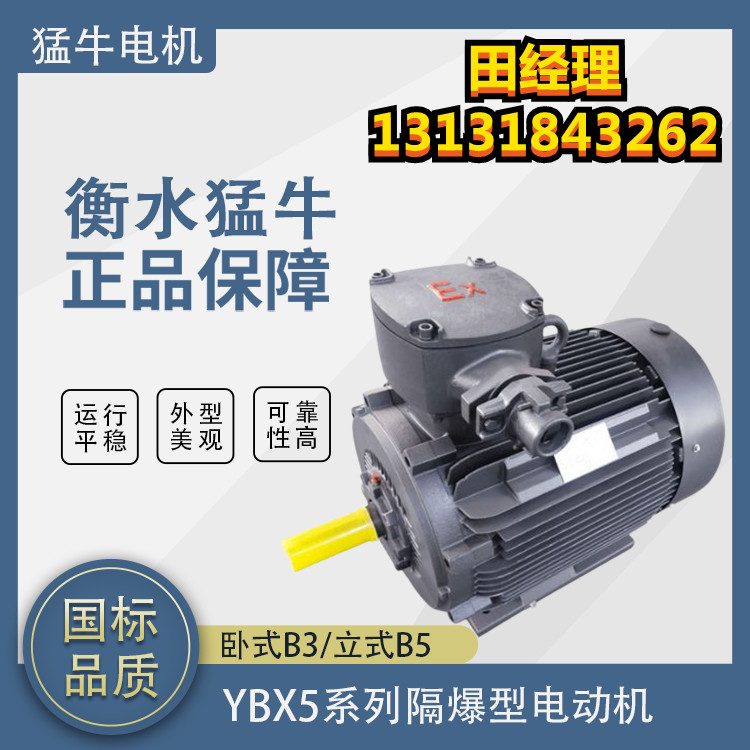 衡水猛牛电机YBX5隔爆型一级能效气体防爆三相异步电动机厂家直销_虎窝淘