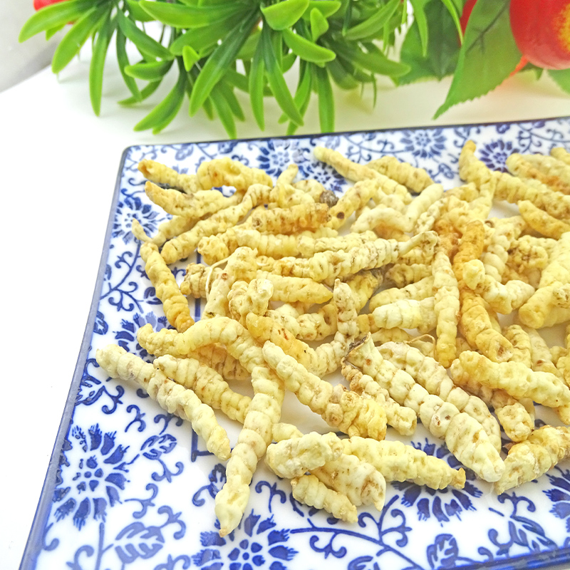 草石蚕天然纯新货中药材地蚕草食蚕地虫土冬虫草白冬虫草500g_虎窝淘