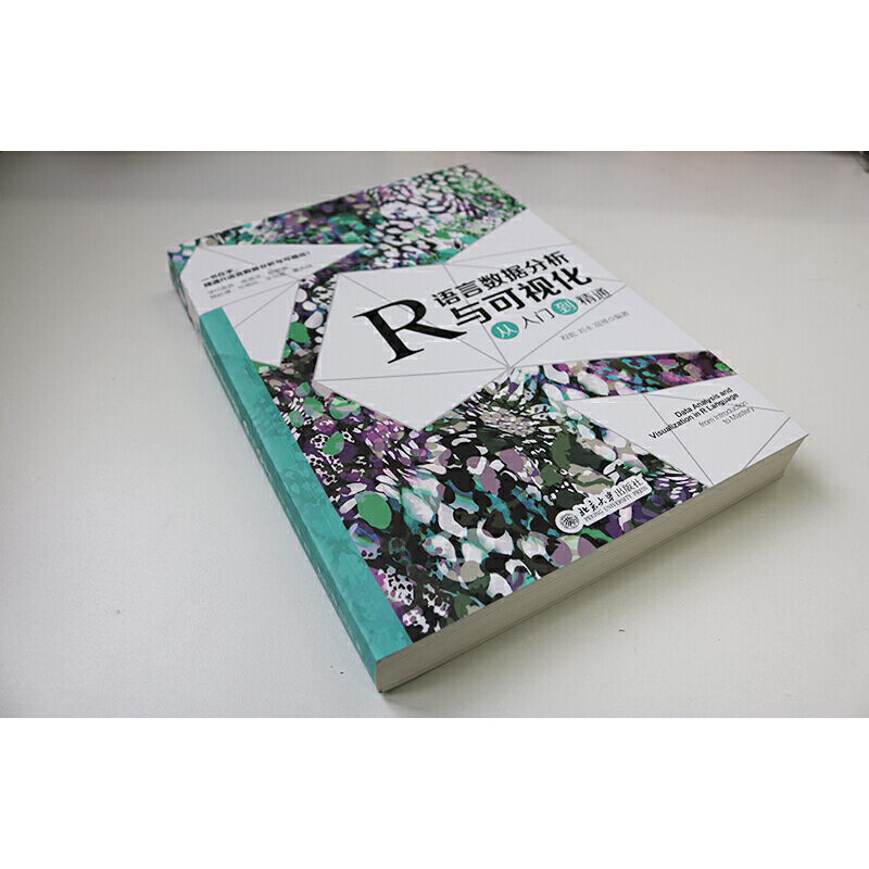 R语言数据分析与可视化从入门到精通r语言实战数据挖掘数据分析书籍数据库系统概念导论与技术原理应用数据库系统原理教材教程书虎窝淘