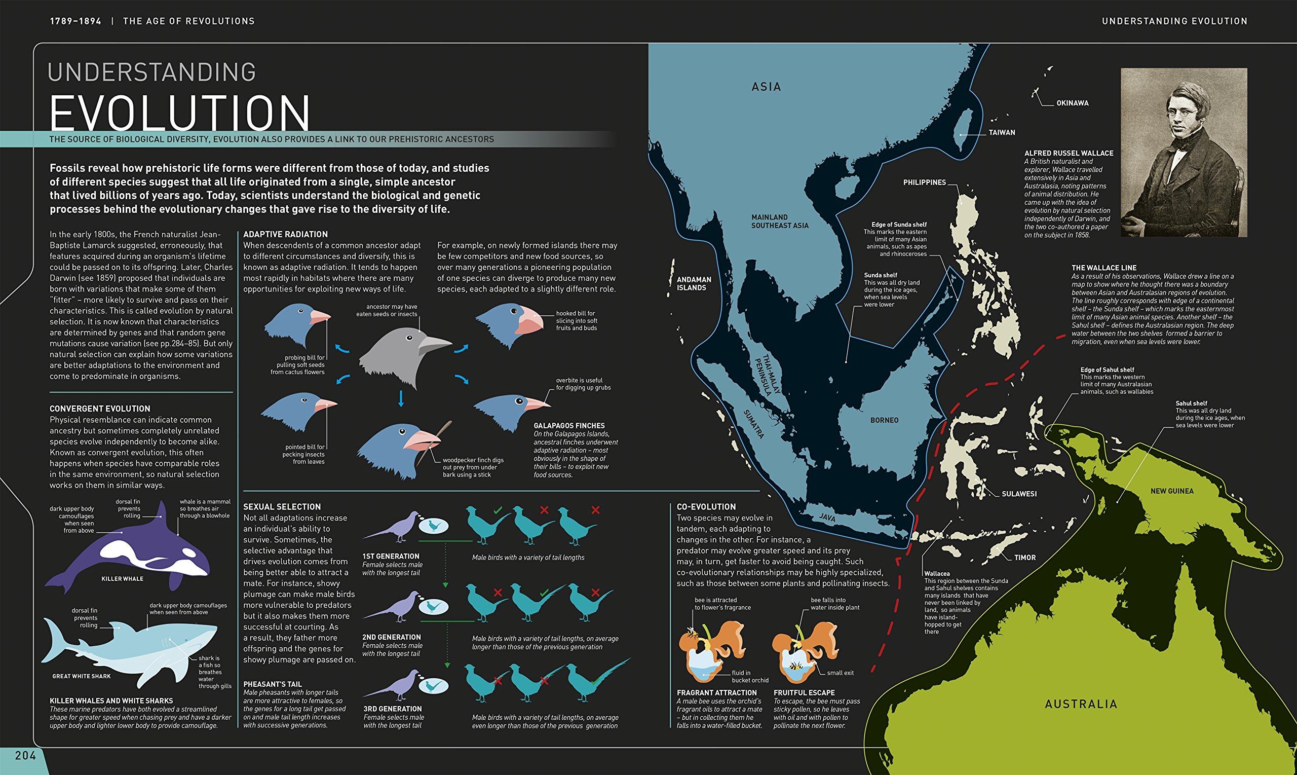 DK百科系列科学年鉴 Science Year by Year DK英文原版精装大开本全图解精美图片书进口书籍_虎窝淘