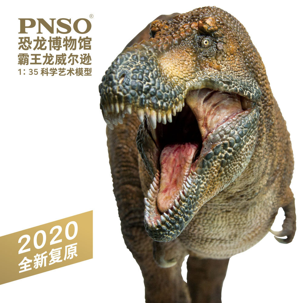 pnso霸王龙20,霸王龙最大的20米,霸王龙_大山谷图库