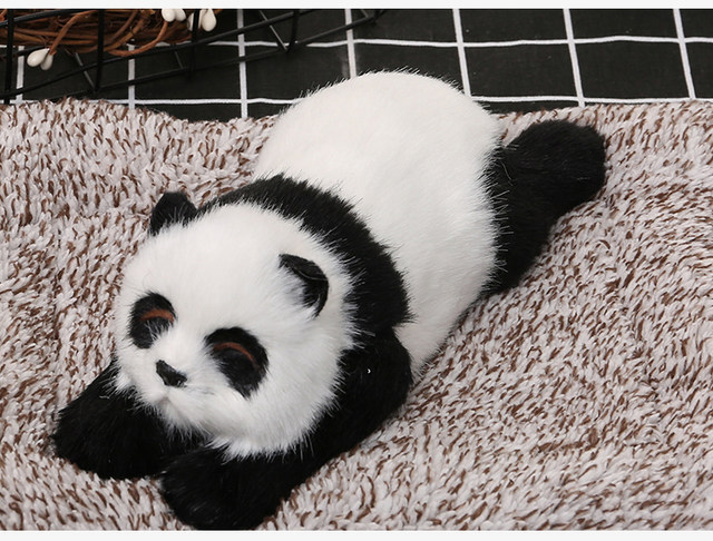 Car cute simulation dog cat rabbit fox panda car car carcass carbon ...