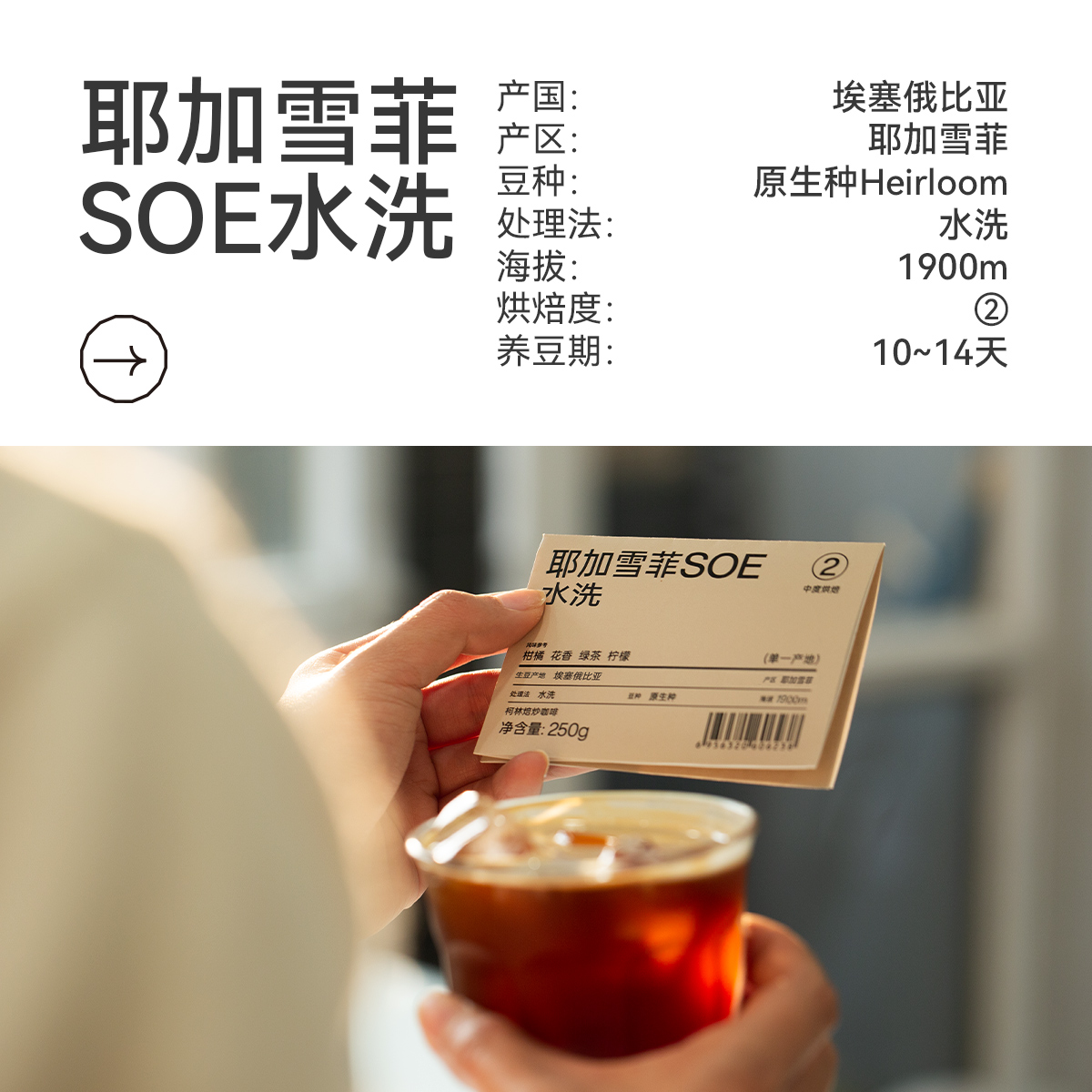 果丁咖啡豆原生G1水洗丁丁SOE第二雪菲耶加咖啡豆