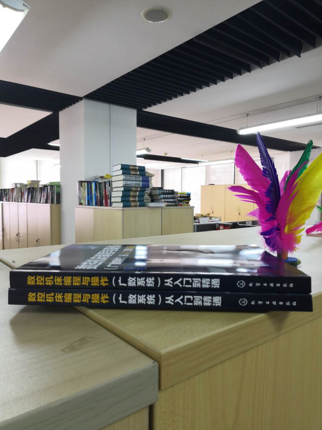 数控机床编程与操作广数系统从入门到精通 Cnc数控车编程教程技术车床维修 Fanuc发那科数控加工中心编程数控机床维修初级自学教材虎窝淘