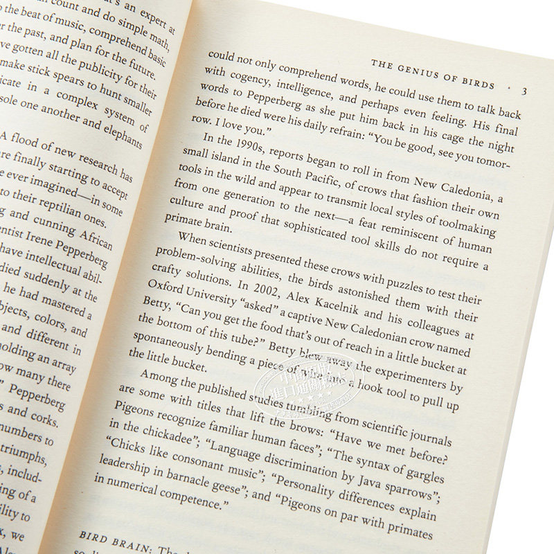 现货【中商原版】鸟的天赋英文原版生命与认知科学 The Genius of Birds Jennifer Ackerman Corsair_虎窝淘