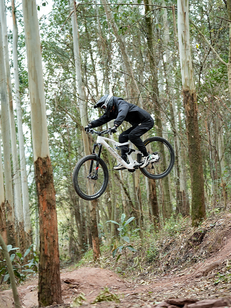 WINICE青龙软尾速降车架enduro避震碳纤维山地车越野车架27.5寸29_虎窝淘