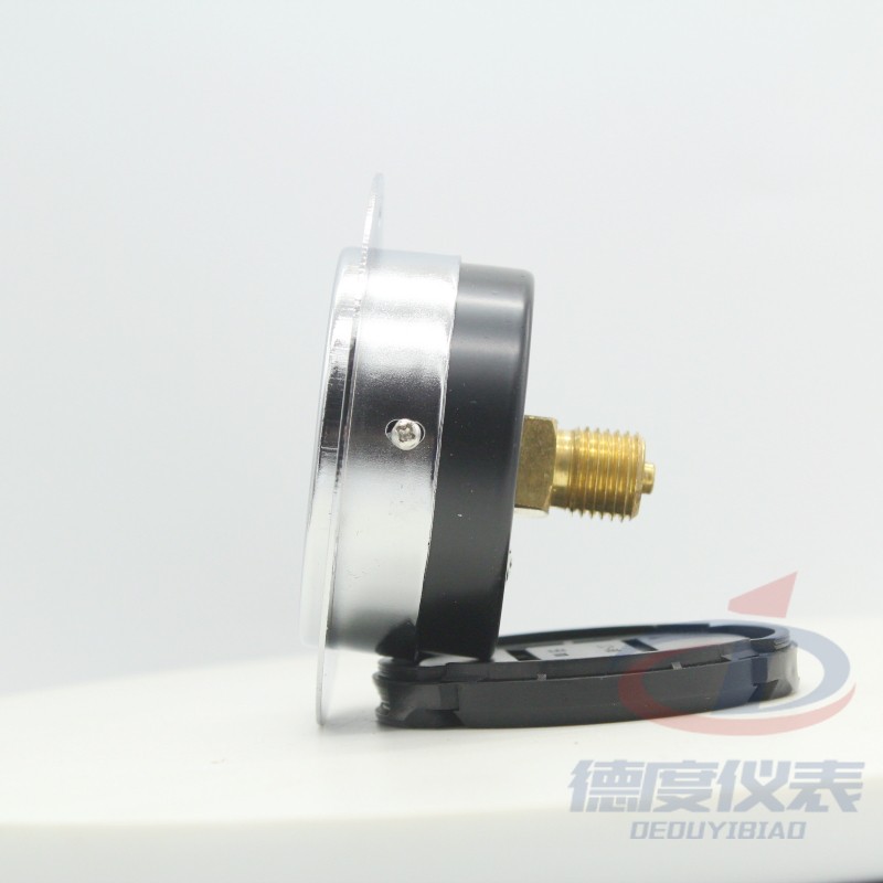 上海天川面板轴向带边压力表Y60ZT不带边气压表水压表热卖_虎窝淘