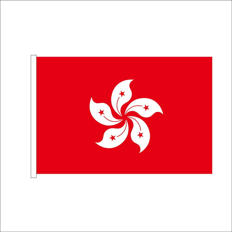 包邮香港区旗4号香港144X96cm大香港旗帜定制紫荆花旗_虎窝淘