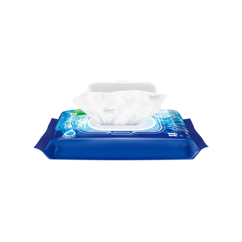 tempo得宝纯水湿厕纸巾家庭抽取式洁厕湿巾可冲德宝擦屁屁实惠装_虎窝淘