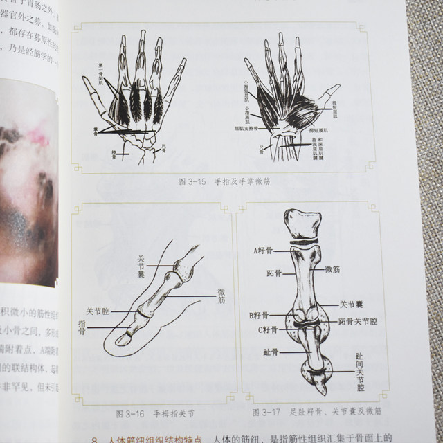The third edition of the tendon therapy, the 3rd edition of Huang Yi ...