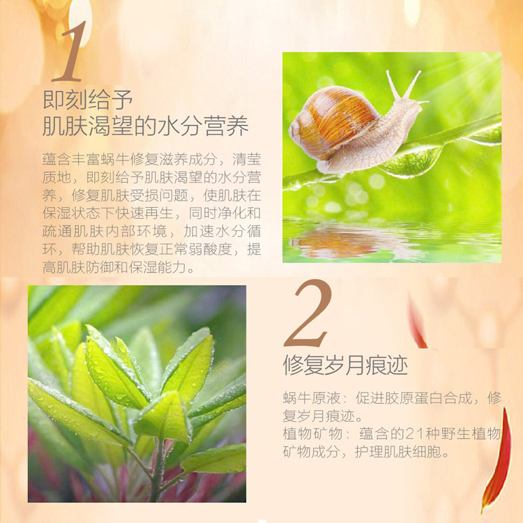 韩国Gdew奇缔植物矿物柔肤水抗皱补水保湿修护蜗牛原液女护肤品_虎窝淘