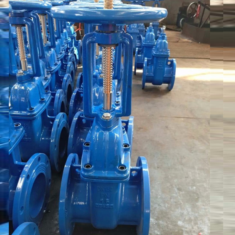 Z41X-16球墨铸铁明杆软密封法兰弹性座封闸阀DN50DN100DN150DN250_虎窝淘