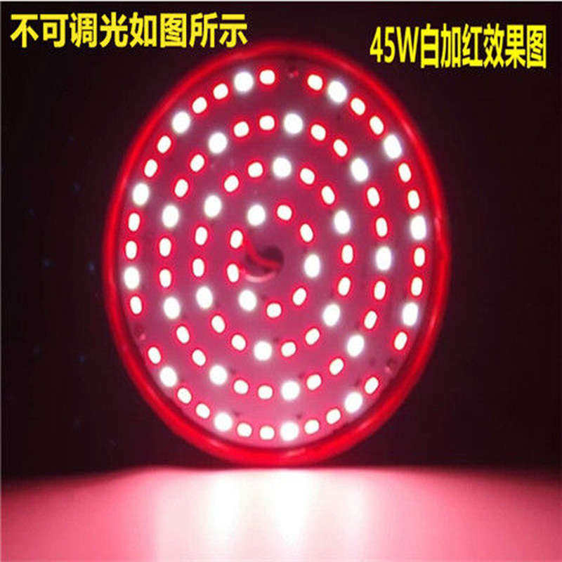 享新惠led猪肉生鲜灯低压12-85V夜市地摊可调光水果灯卤菜电瓶48V_虎窝淘