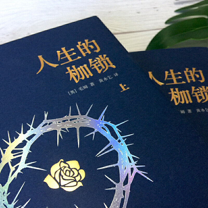 【当当网正版书籍】人生的枷锁（套装共2册，全新精装典藏版，未删节足本。你的命运，自己主宰）_虎窝淘