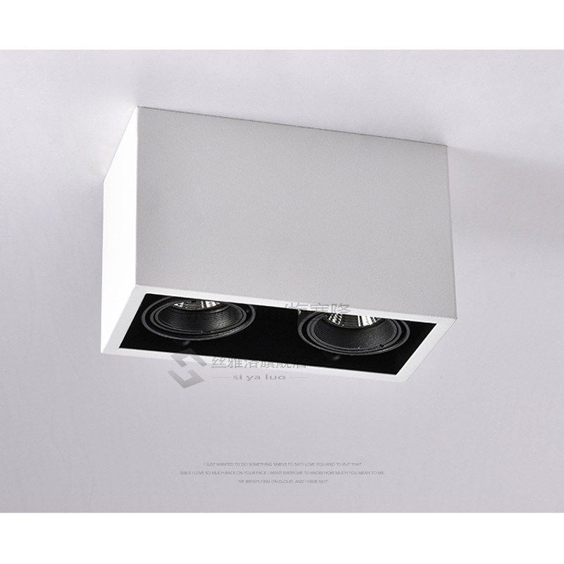 LED Ceiling Lights Double spot LED lamps Replaceable G10 5W_虎窝淘