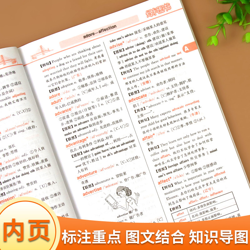 2023版 PASS绿卡高考英语词汇表 3500新课标词汇+1700差距词汇+2832短语搭配+700真题例句高中英语3500词高考英语 ...