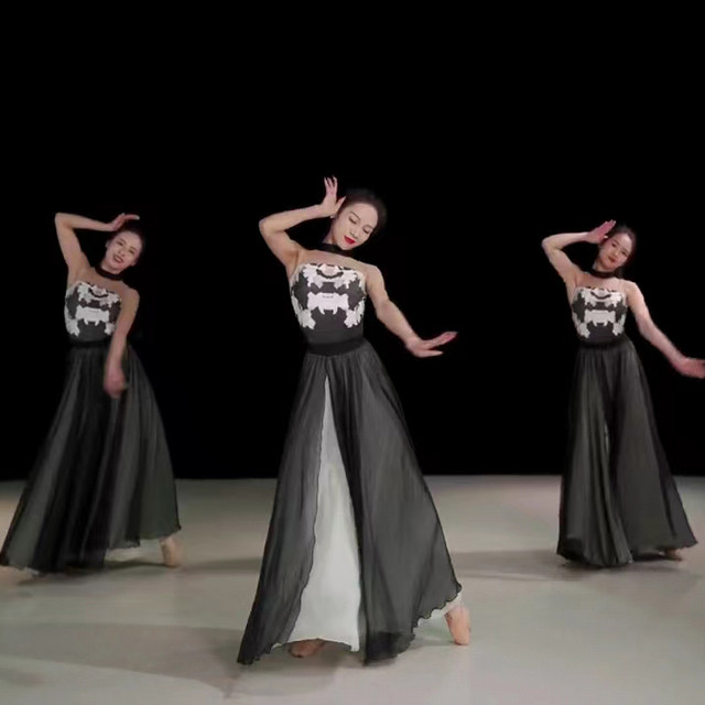 Xia Hui's same style dance skirt Classical dance elegant double -layer ...