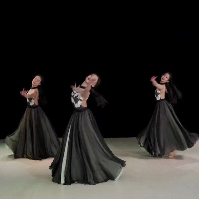 Xia Hui's same style dance skirt Classical dance elegant double -layer ...