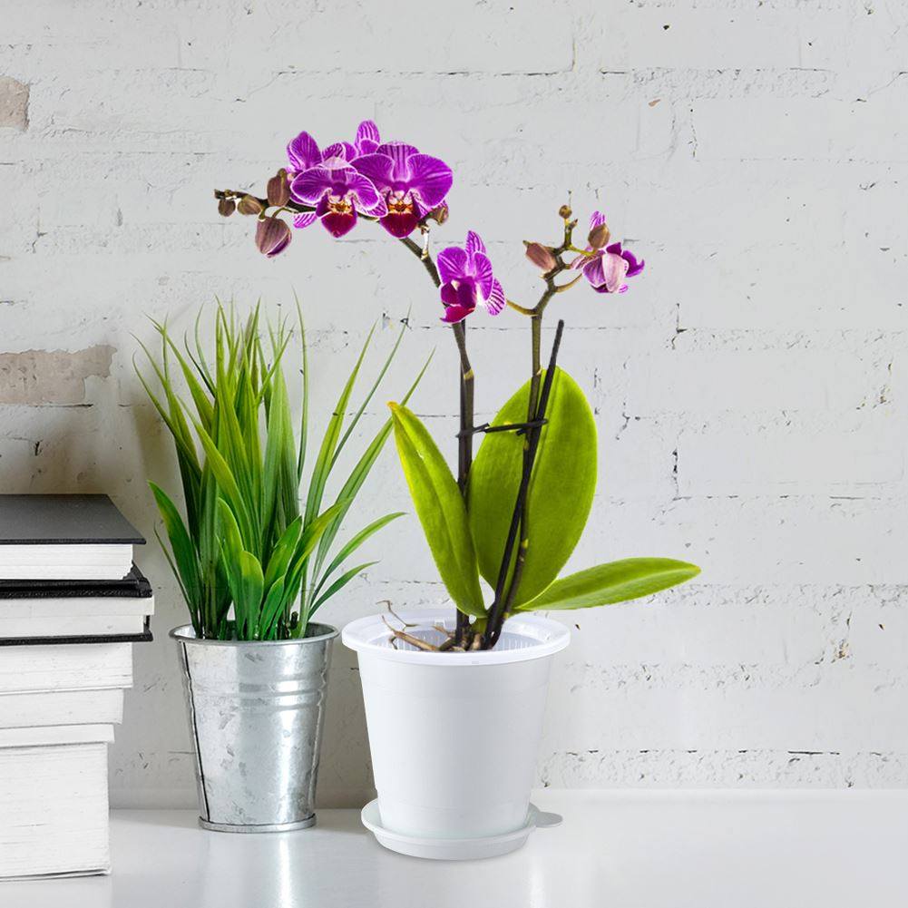 Clear Root Control Mesh Pot Fles Flower Orchid Transparent_虎窝淘
