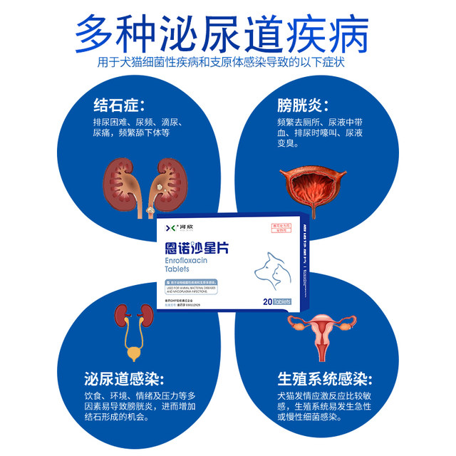 Hexin Pet Enrofloxacin Tablets Antibacterial Anti-inflammatory Drug ...