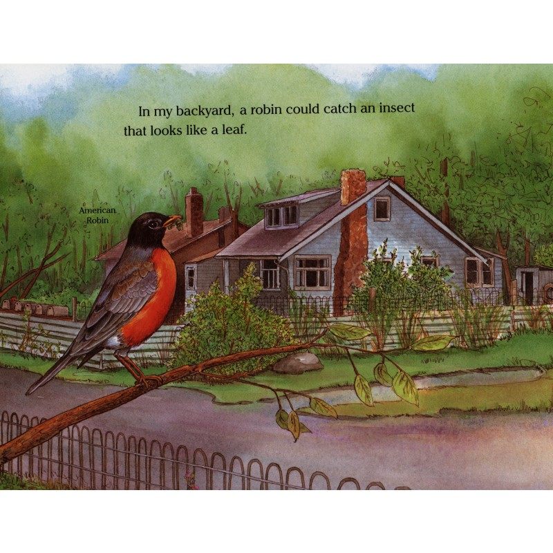 What Color Is Camouflage?(Let's Read and Find Out)自然科学启蒙2：什么是伪装色？进口儿童书3 ...