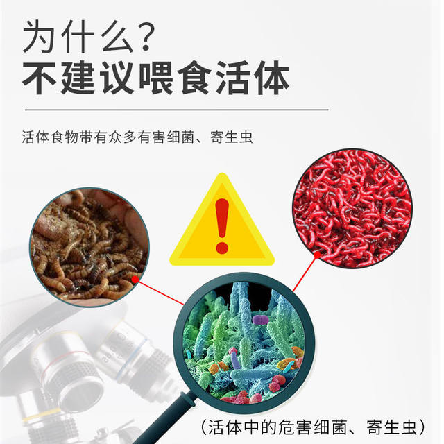 Hexagonal dinosaur feed fish food high -protein, oriental 蝾螈 Qing ...