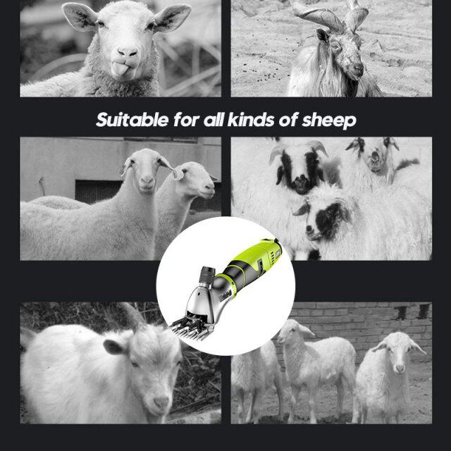 2000W 220V 6 Gears Speed Electric Sheep Goat Shearing Machin_虎窝淘