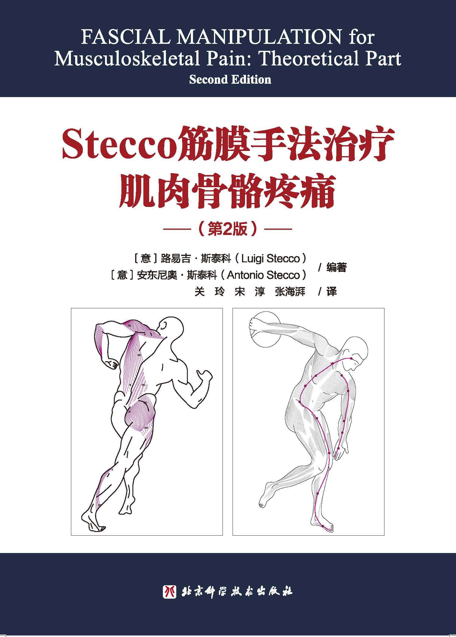 正版包邮 Stecco筋膜手法治疗肌肉骨骼疼痛第2版筋膜领域意大利学派领军人物Luigi Stecco解剖列车译者关玲教授倾心翻译_虎窝淘